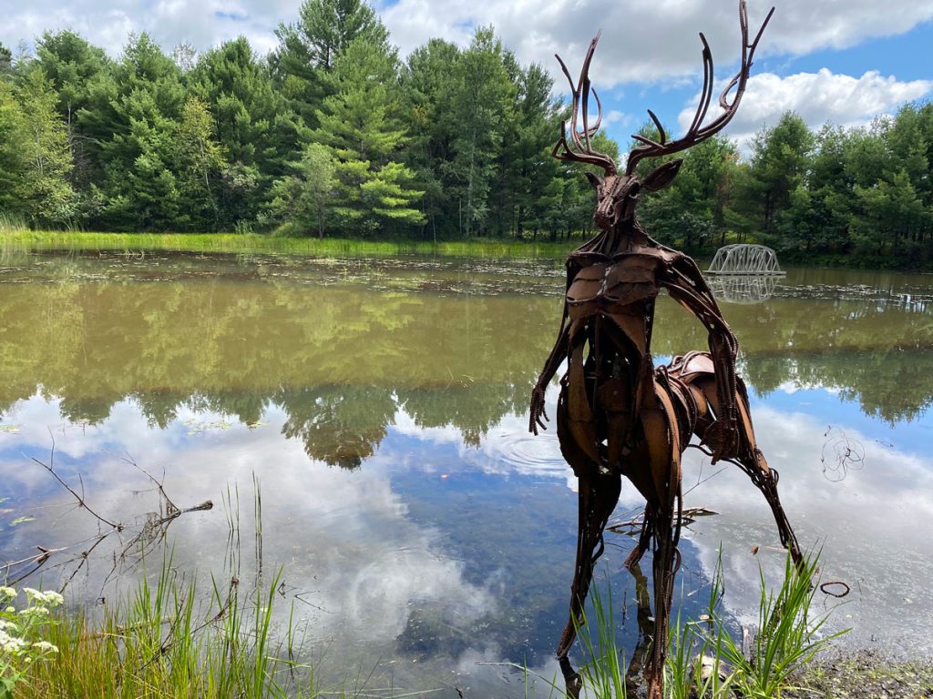 Top 5 Things to Do in Stevens Point, Wisconsin - WiscoLens